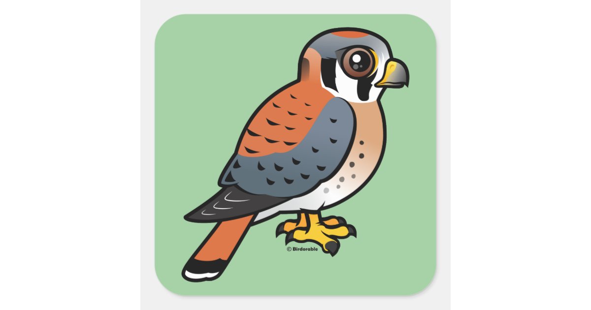 Cute American Kestrel Square Sticker | Zazzle