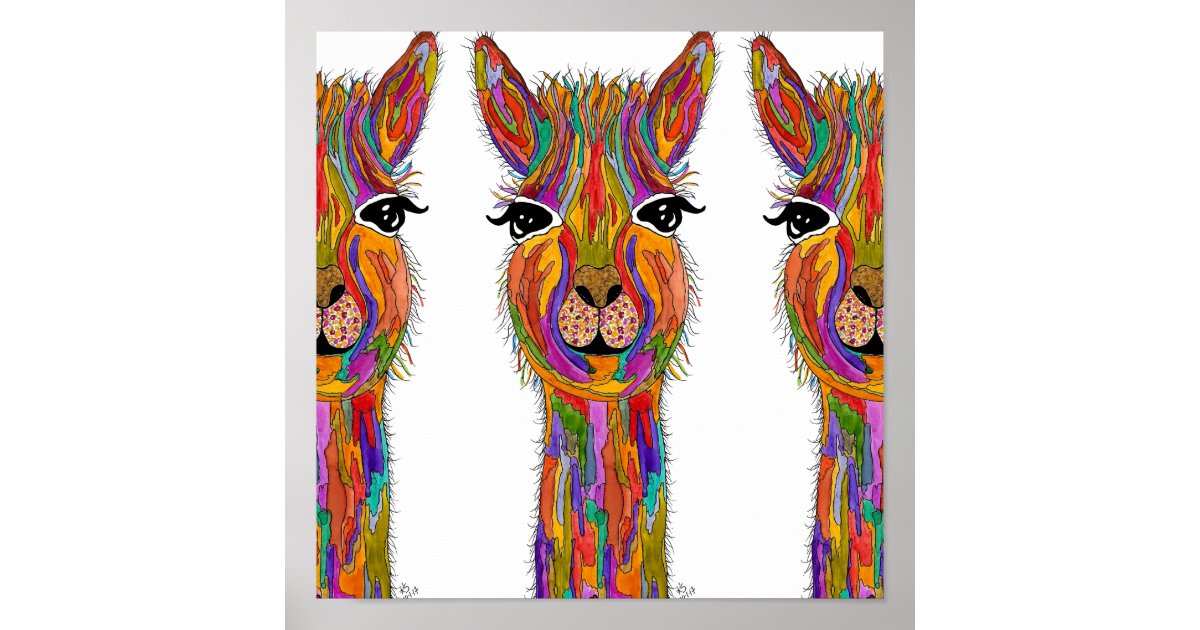 Cute and Colorful Llama Poster - 12" x 12" | Zazzle