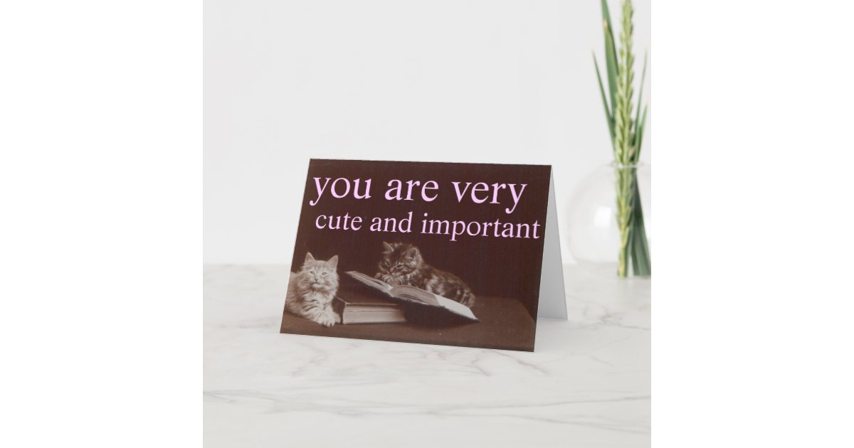 cute and important card | Zazzle