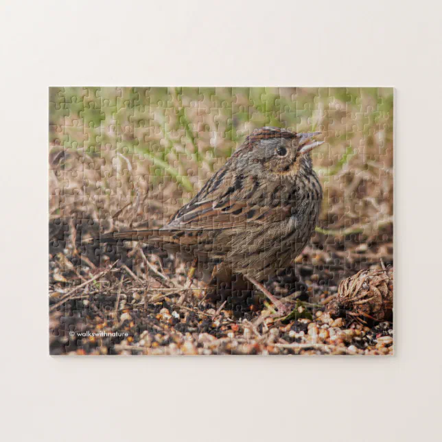 Cute and Spunky Lincoln's Sparrow Jigsaw Puzzle | Zazzle