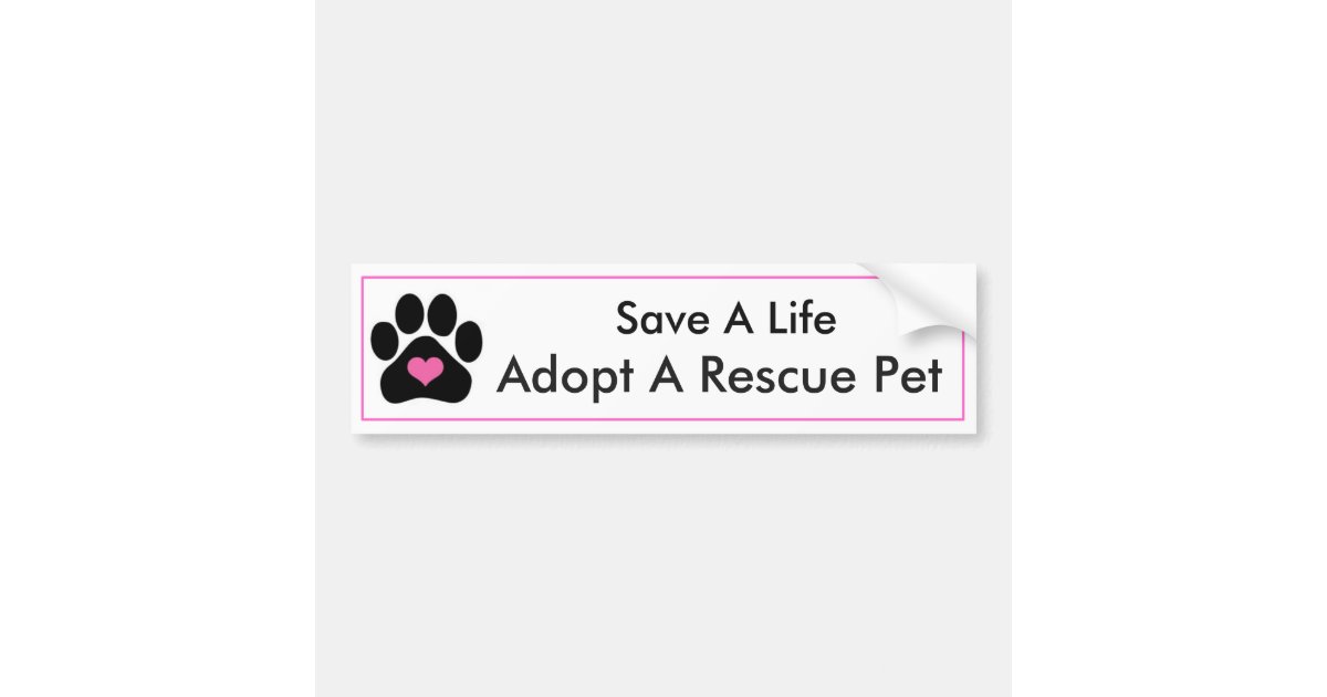 Cute Animal Rescue Bumper Sticker | Zazzle