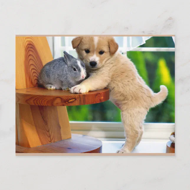 Cute Animals Postcard | Zazzle
