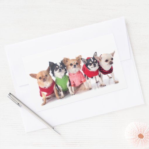 Cute Animals Rectangular Sticker | Zazzle