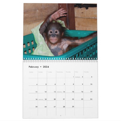 Cute Apes Orangutan Wildlife Calendar | Zazzle