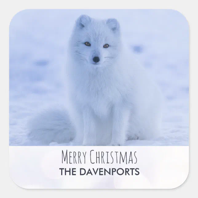 Cute Arctic Fox on Snow Merry Christmas Square Sticker | Zazzle