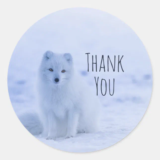 Cute Arctic Fox on Snow Thank You Classic Round Sticker | Zazzle