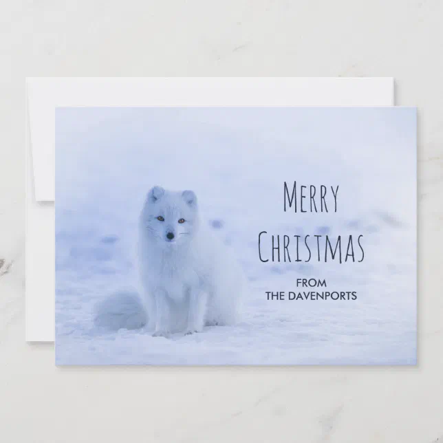 Cute Arctic Fox on Snowy Winter Background Holiday Card | Zazzle