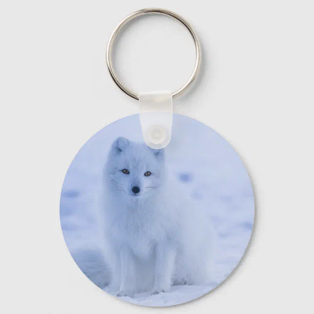 Cute Arctic Fox on Snowy Winter Background Keychain | Zazzle