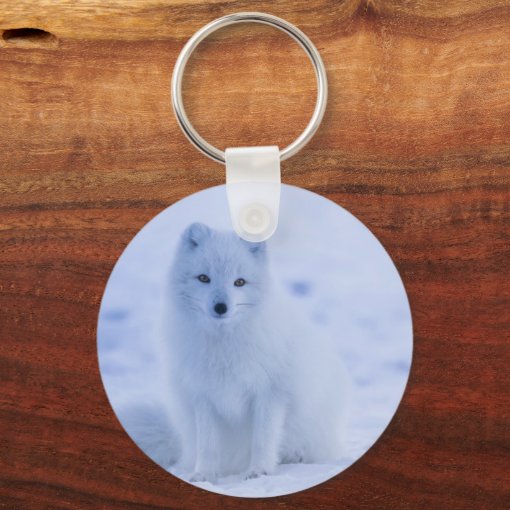 Cute Arctic Fox on Snowy Winter Background Keychain | Zazzle