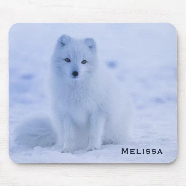 Cute Arctic Fox on Snowy Winter Background Mouse Pad | Zazzle