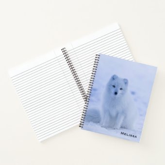 Cute Arctic Fox on Snowy Winter Background Notebook | Zazzle