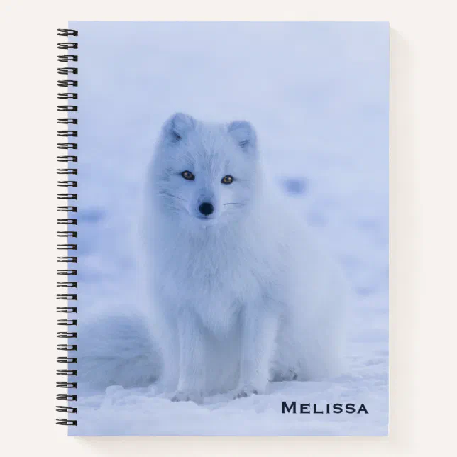 Cute Arctic Fox on Snowy Winter Background Notebook | Zazzle
