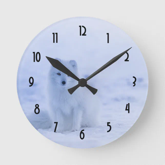 Cute Arctic Fox on Snowy Winter Background Round Clock | Zazzle