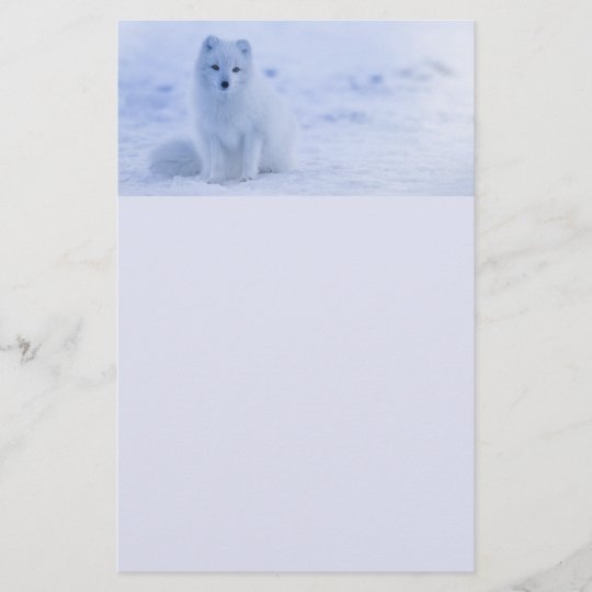 Cute Arctic Fox on Snowy Winter Background Stationery | Zazzle.com