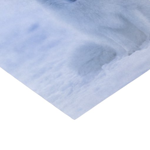 Cute Arctic Fox on Snowy Winter Background Tissue Paper | Zazzle