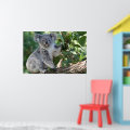 Cute Australian koala Poster | Zazzle
