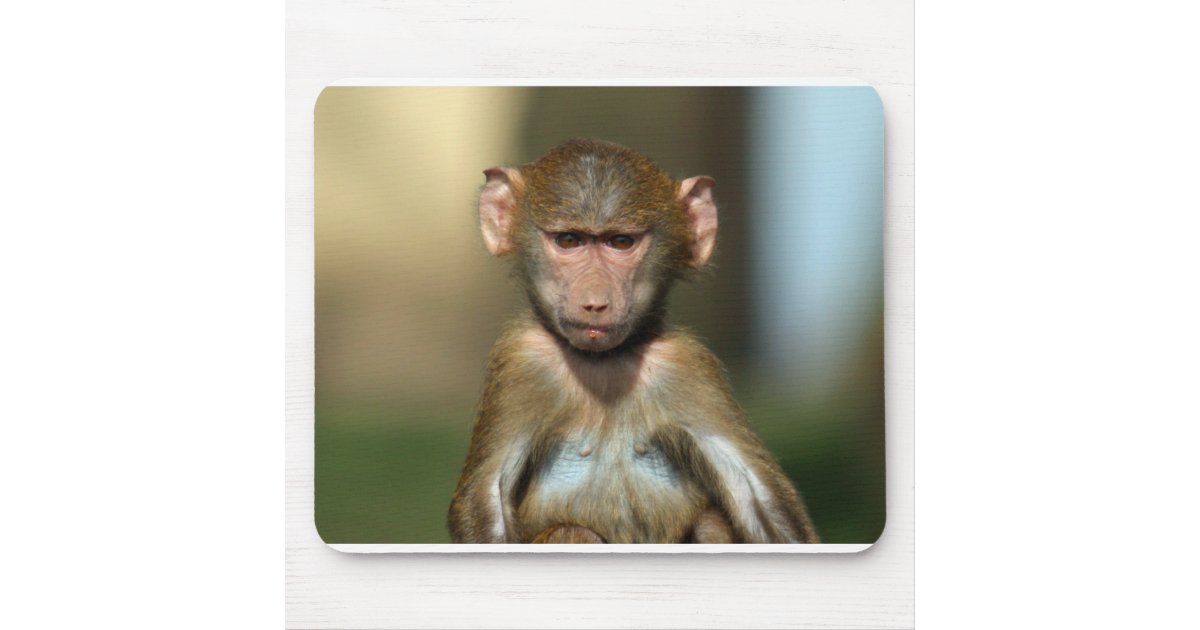 Cute Baby Baboon Mousemat / Mousepad | Zazzle