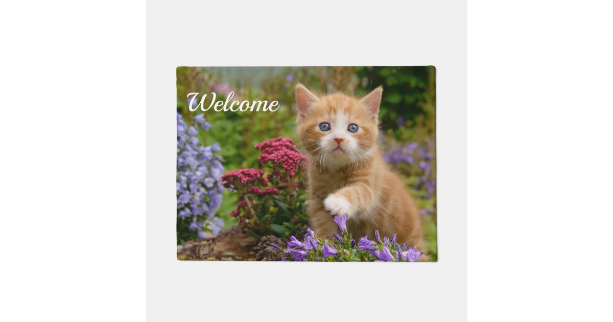 Cute Baby Cat Kitten Playing Photo Head - Welcome Doormat | Zazzle