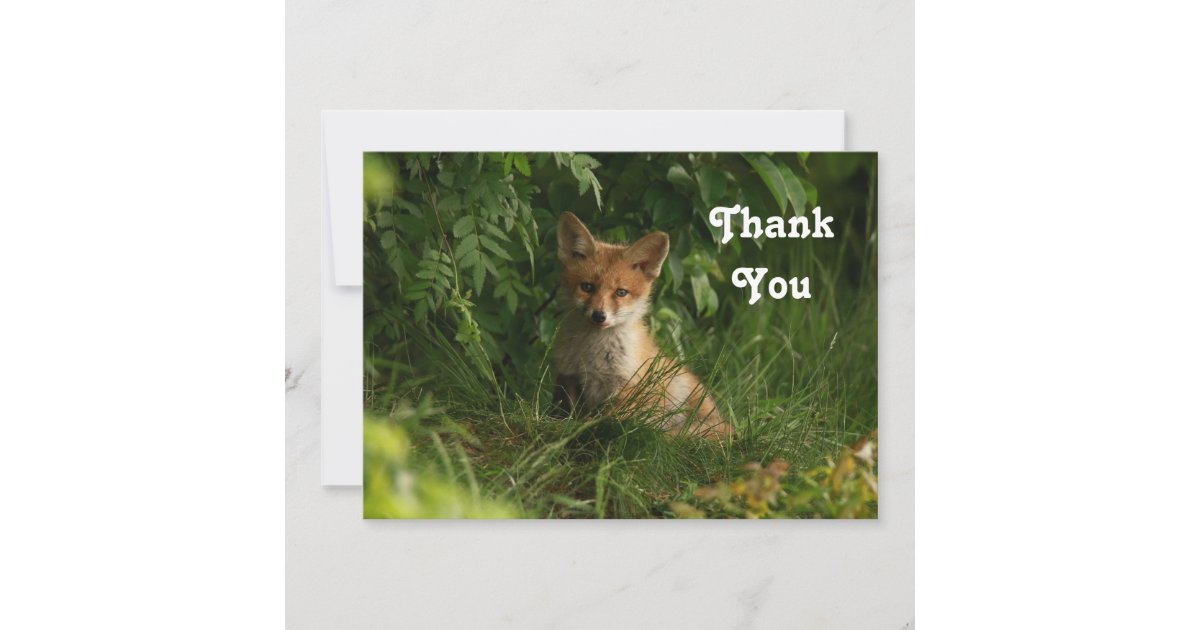 Cute Baby Fox in a Green Forest Thank You Card | Zazzle