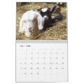 Cute Baby Goats Calendar | Zazzle