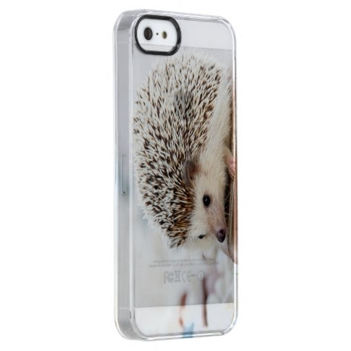 Cute Baby Hedgehog Animal Uncommon iPhone Case | Zazzle