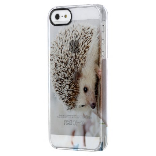 Cute Baby Hedgehog Animal Uncommon iPhone Case | Zazzle