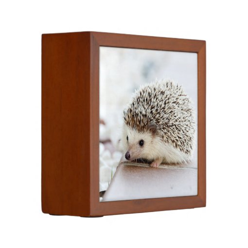 Cute Baby Hedgehog Desk Organizer | Zazzle