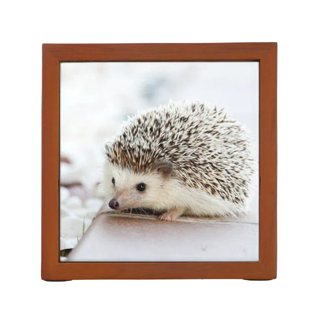 Cute Baby Hedgehog Desk Organizer | Zazzle