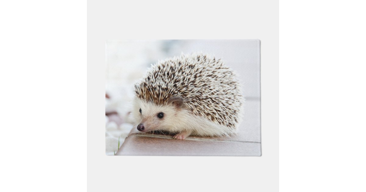 Cute Baby Hedgehog Doormat | Zazzle