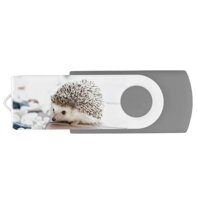 Cute Baby Hedgehog Flash Drive | Zazzle