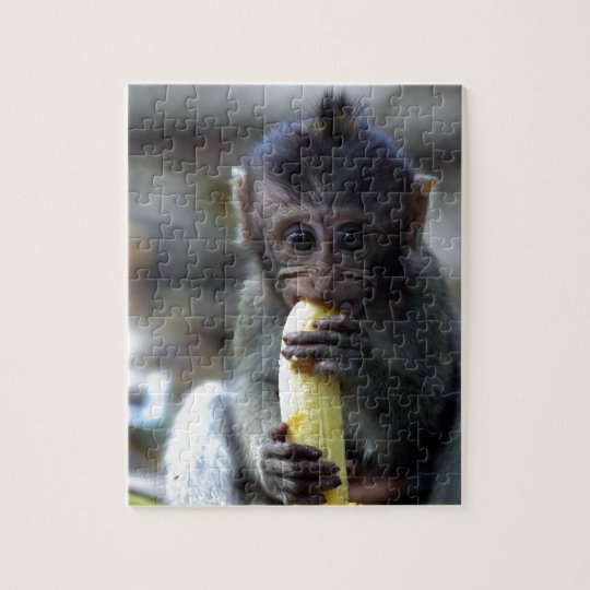 Cute baby macaque monkey eating banana jigsaw puzzle | Zazzle.com