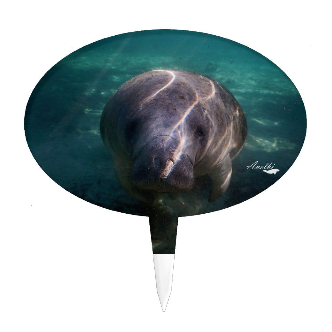 Cute baby manatee cake topper | Zazzle