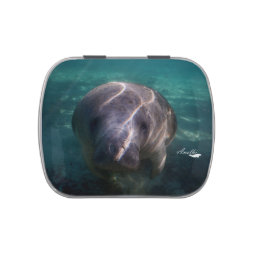Cute baby manatee Jelly Belly™ Candy Tin | Zazzle