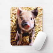 Cute Baby Pig Mouse Pad | Zazzle