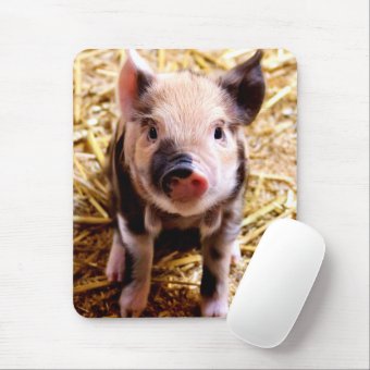 Cute Baby Pig Mouse Pad | Zazzle