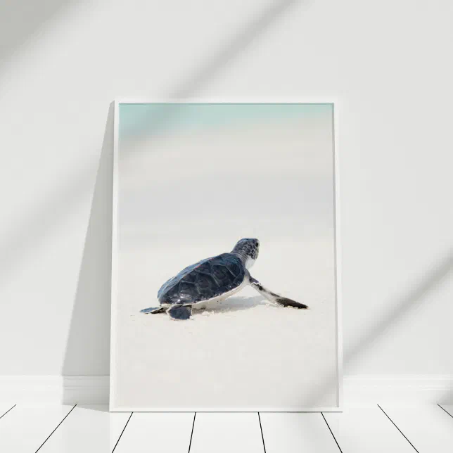 Cute Baby Sea Turtle on the Beach Poster | Zazzle