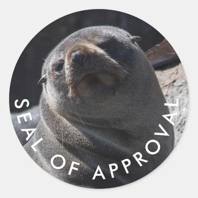 Cute baby seal of approval sticker | Zazzle