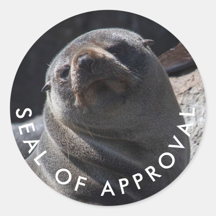 Cute baby seal of approval sticker | Zazzle