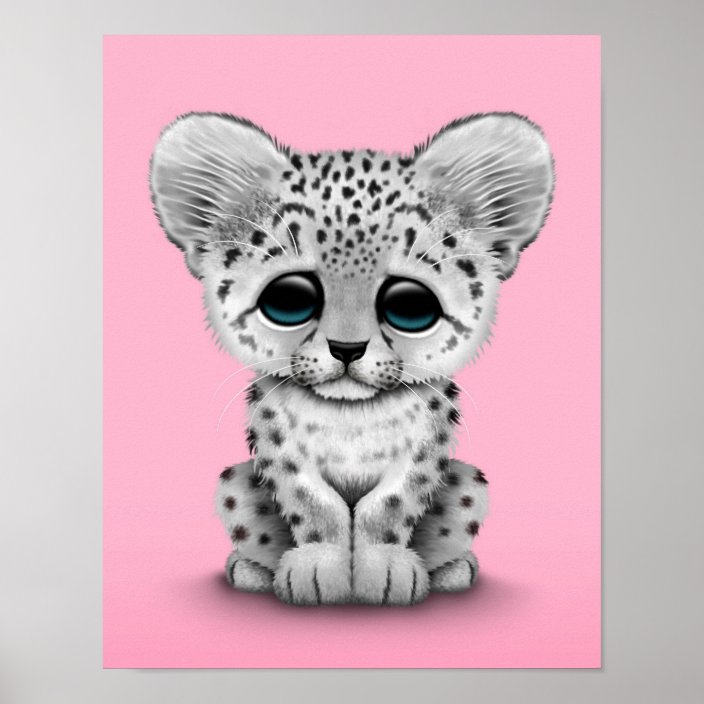Cute Baby Snow Leopard Cub on Pink Poster | Zazzle.com