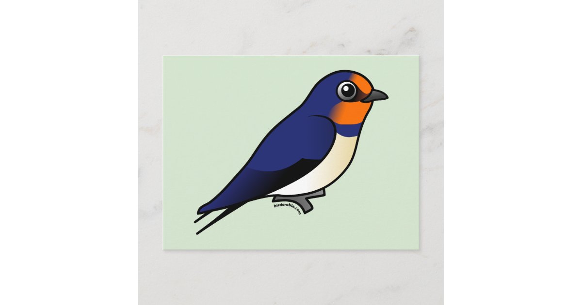 Cute Barn Swallow Postcard | Zazzle