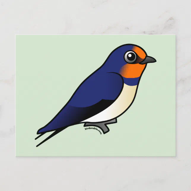 Cute Barn Swallow Postcard | Zazzle
