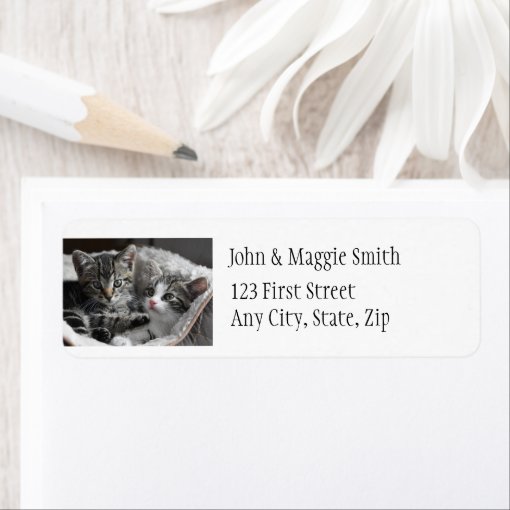 Cute Basket of Kittens, Cats Address Label | Zazzle