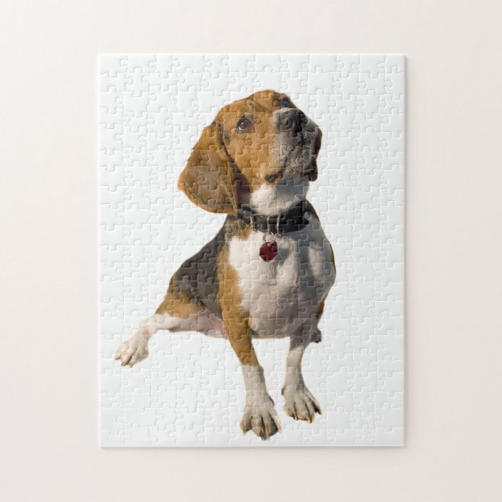 Cute Beagle Dog Jigsaw Puzzle | Zazzle.com