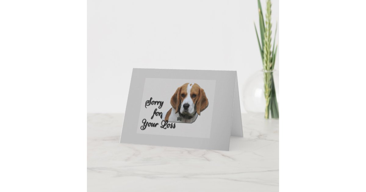 Cute Beagle Tri Colored Sympathy Sorry Your Loss Card | Zazzle