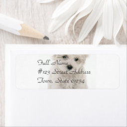 Cute Bichon Frise Mailing Label | Zazzle