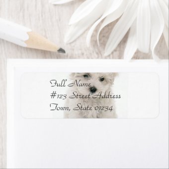 Cute Bichon Frise Mailing Label | Zazzle