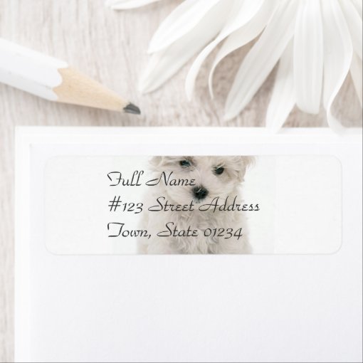 Cute Bichon Frise Mailing Label | Zazzle