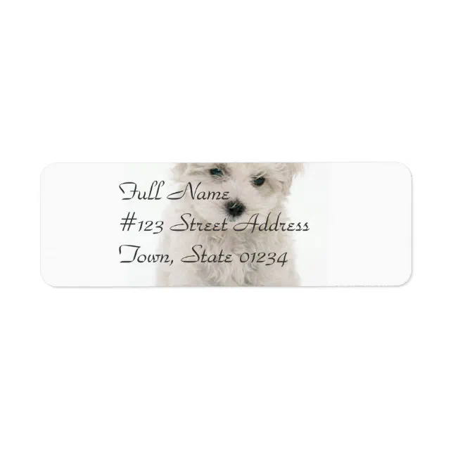 Cute Bichon Frise Mailing Label | Zazzle