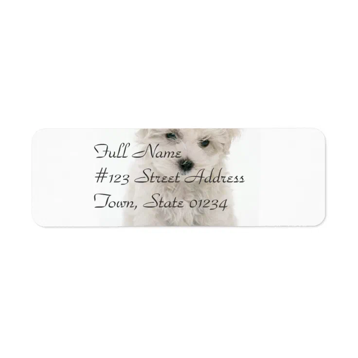Cute Bichon Frise Mailing Label | Zazzle