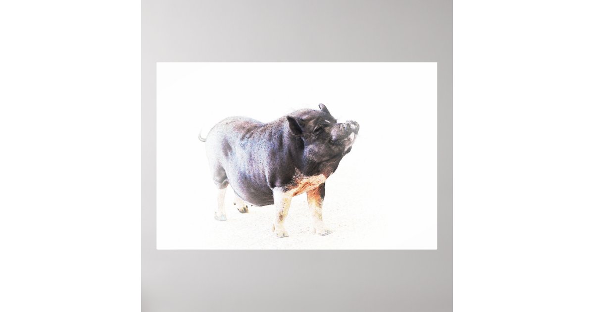 Cute Big Pig Farm Style Art Poster | Zazzle